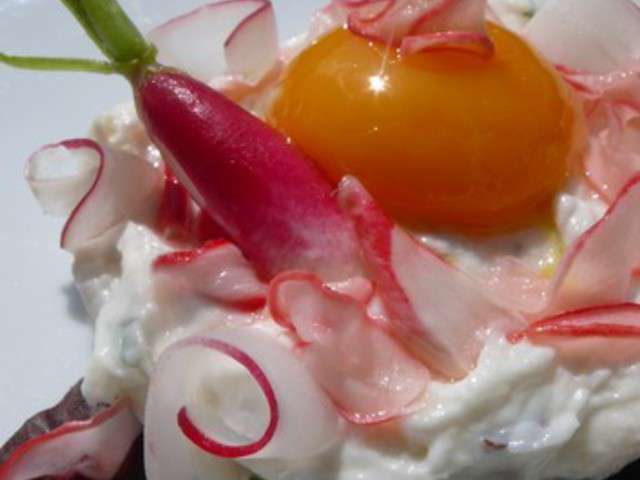 Recettes de Jaune d'œuf - 4