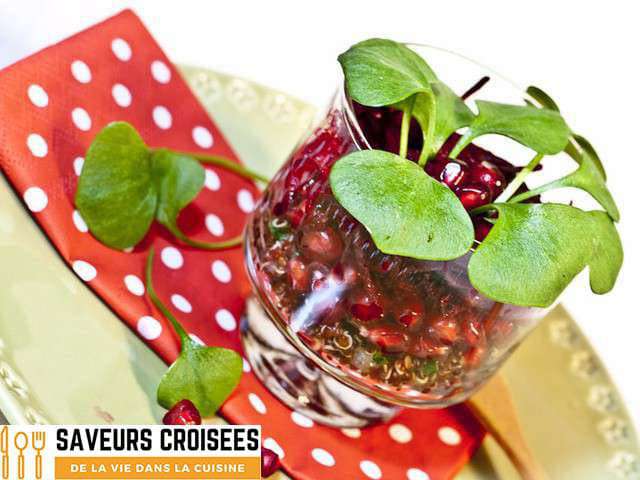 Recettes de Cocktails et Verrines