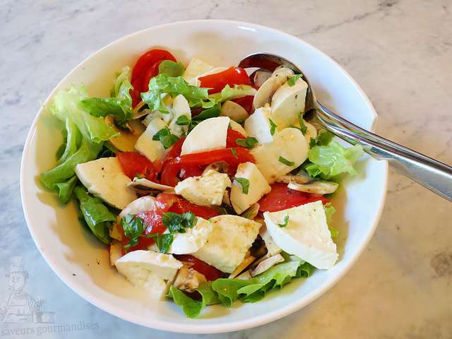 Recettes de Mozzarella de saveurs gourmandises