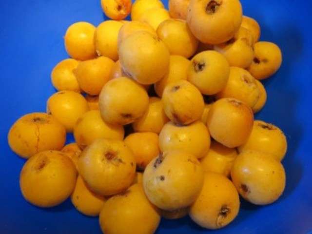 Les Meilleures Recettes de Nèfles