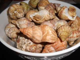 Les Meilleures Recettes de Bulots