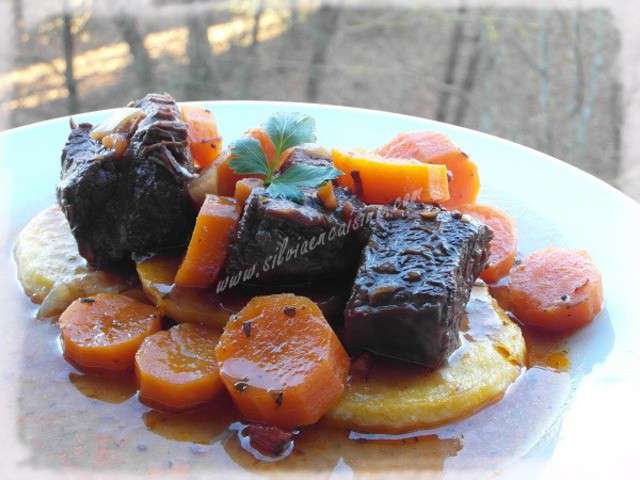 Recettes de Daube de Silvia en Cuisine...et toutes ses recettes!