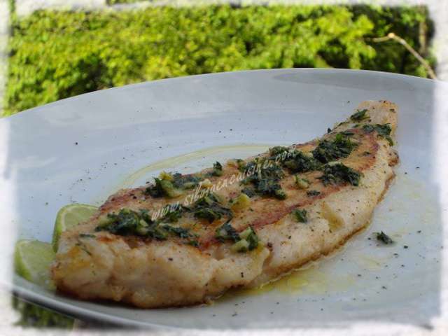 Recettes de Limande - 2