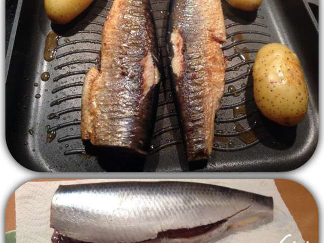 Recettes de Hareng