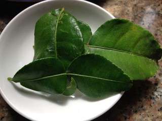 Recettes de Feuilles de combava