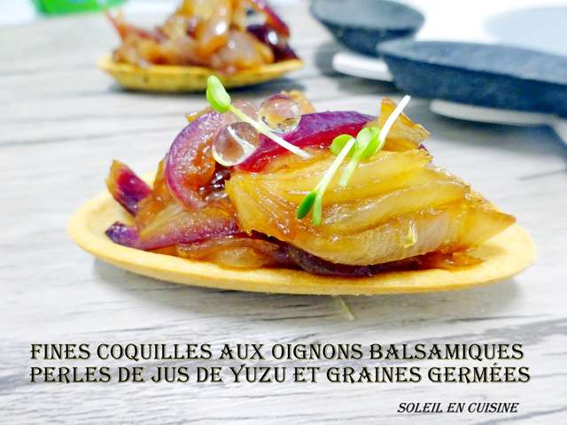 Recettes de Confit d'oignon de soleil en cuisine 2