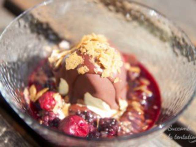 Recettes de Glace à la vanille et Fruits rouges