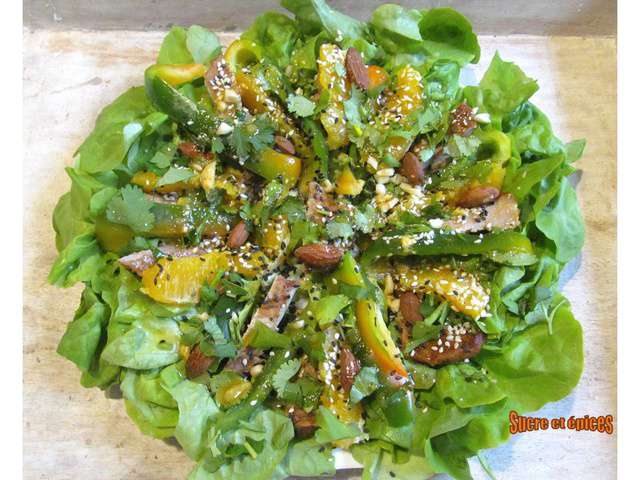 Recettes de Viande et Salades
