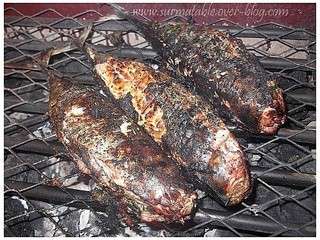 Les Meilleures Recettes de Bonite