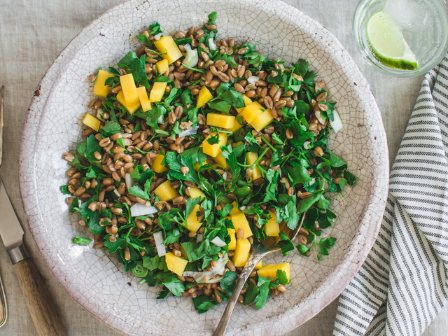 Recettes de Persil de Tangerine Zest