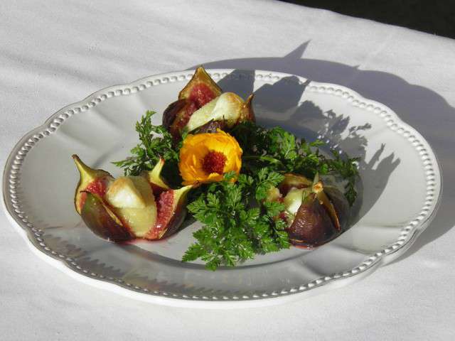Recettes de Figues de Terre et Mar