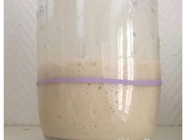 Recettes de Levain liquide de Thermomix en Famille