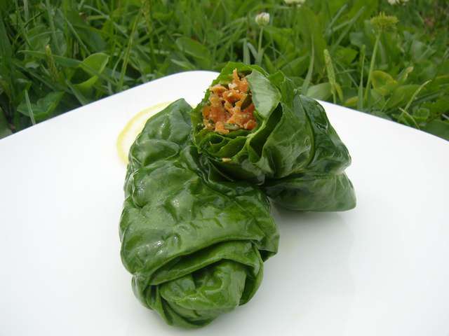 Recettes de Bette de Tout Cru Dans Le Bec