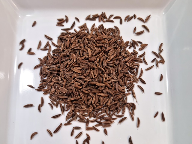 Recettes de Carvi de Tradition Transmission