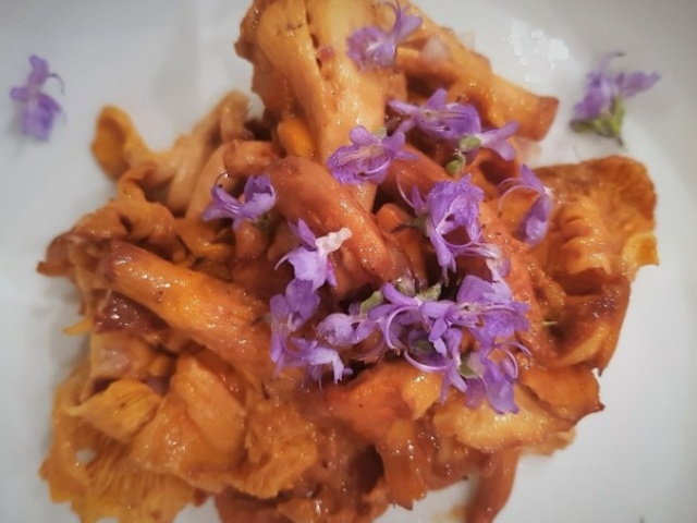 Recettes de Girolles de Tradition Transmission