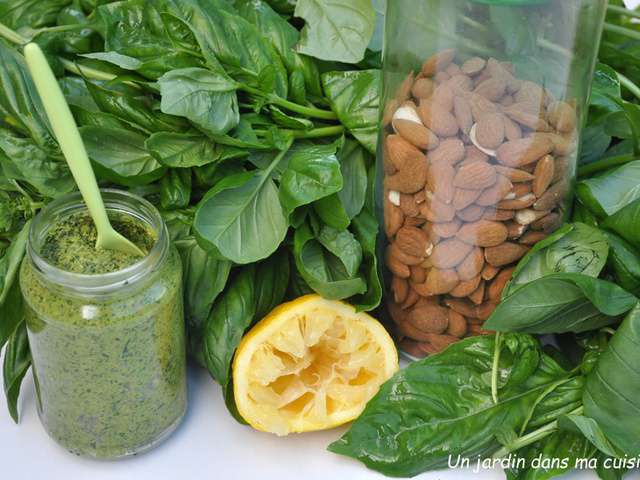 Recettes de Sauce basilic de Un jardin dans ma cuisine