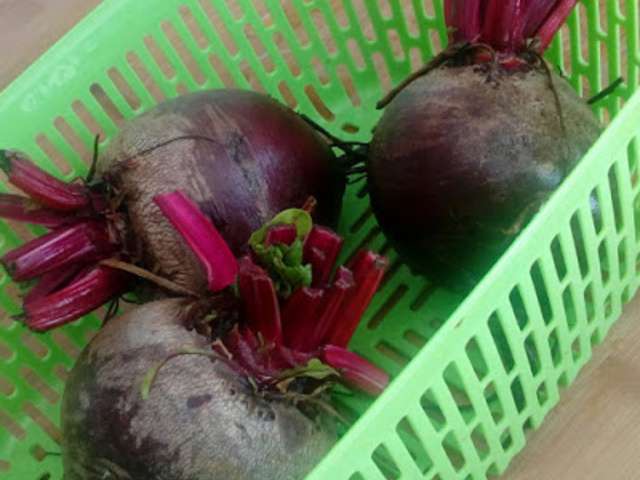 Recettes de Betteraves Rouges - 2