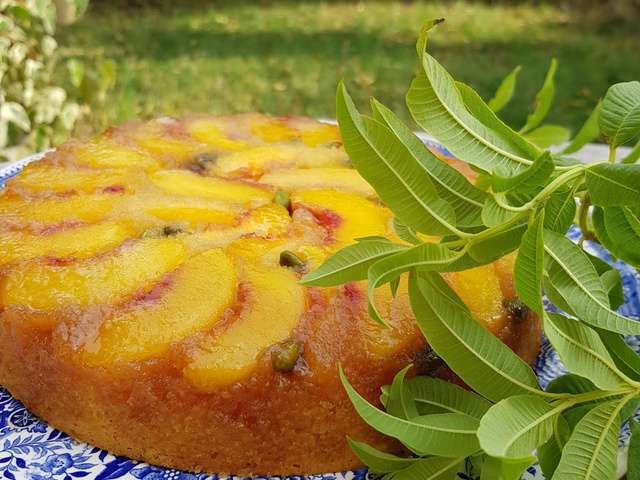 Recettes de Gâteau Moelleux de Un Zest de Soleil