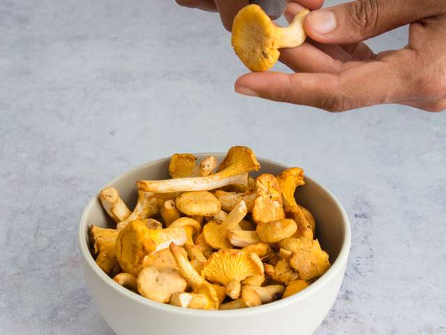 Recettes de Girolles - 3