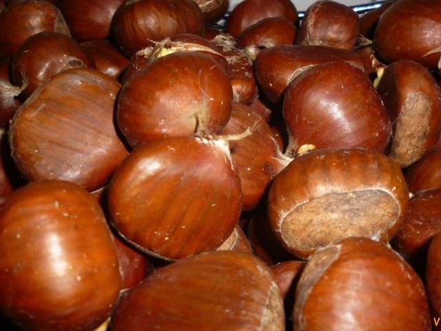 Recettes de Châtaigne de Val Elle Rit