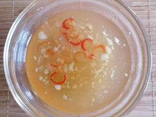 Recettes de Nems et Sauces