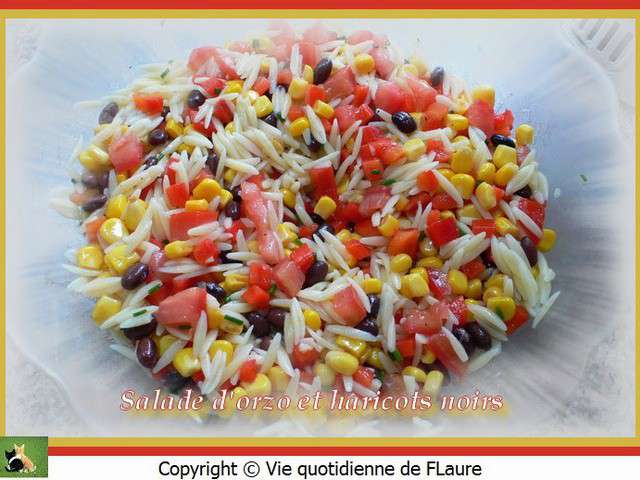 Recettes de Haricot Noir