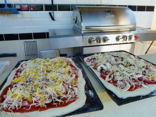 Recettes de Pizza de Vision-plaisir