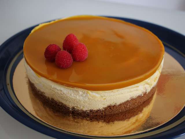 Recettes de Bavarois de Vite fait...bien cuisiné