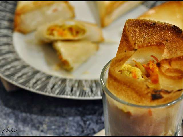 Recettes de Bricks de Vous faire plaisir