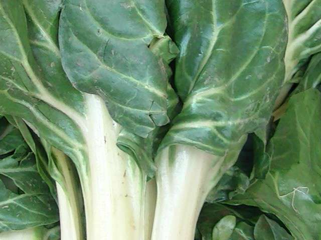 Recettes de Bette de Y'a quoi dans mon frigo